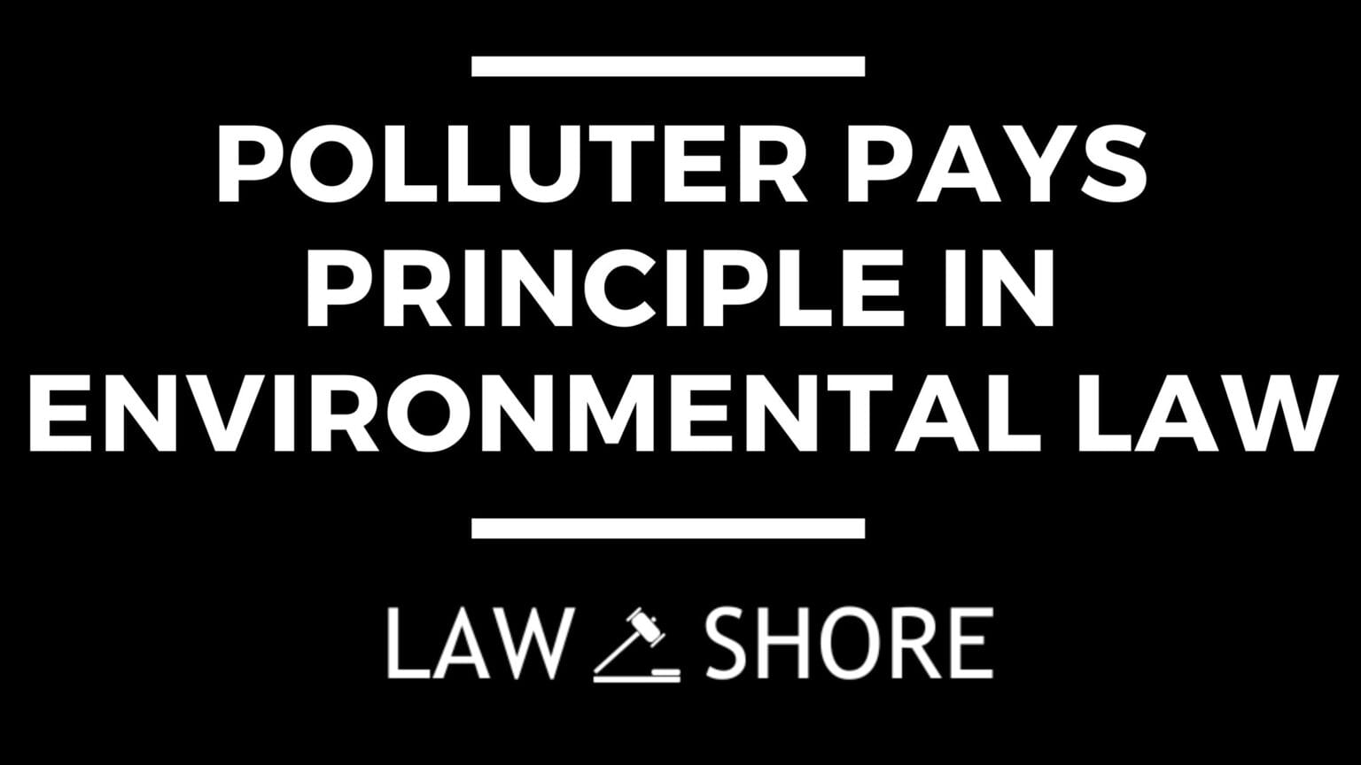 Polluter Pays Principle in Environmental Law - Law Shore
