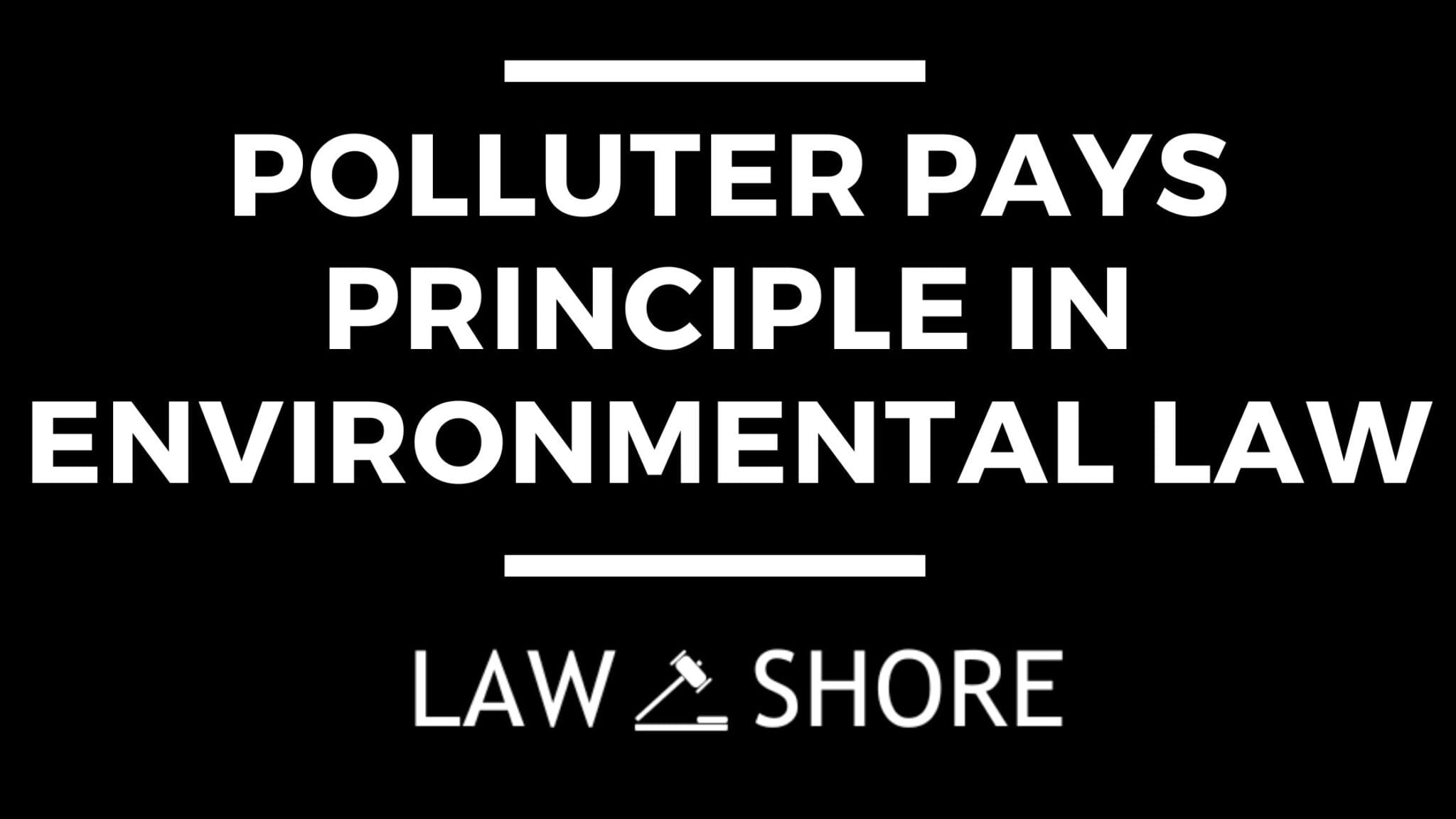 Polluter Pays Principle in Environmental Law - Law Shore